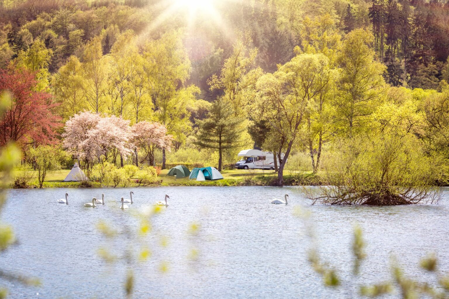 Camping Edersee: Die 2 besten Campingplätze?