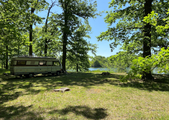 Camping Sachsen-Anhalt: Der beste Campingplatz? Camping Sachsen-Anhalt: Der beste Campingplatz?