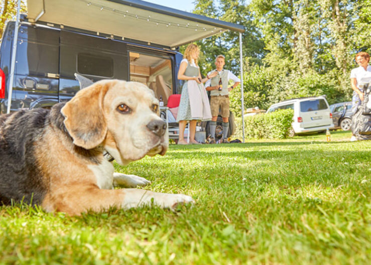 Camping Bayern: Die 16 besten Campingplätze?