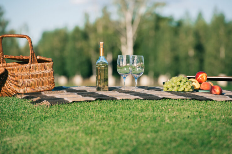 Die besten Mini-Picknickdecken? (Test & Vergleich 2026)