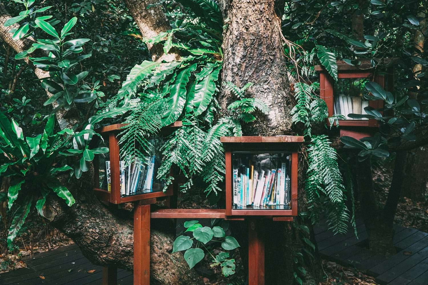 Die besten Survival Bücher (Test und Vergleich 2026) | BeyondCamping