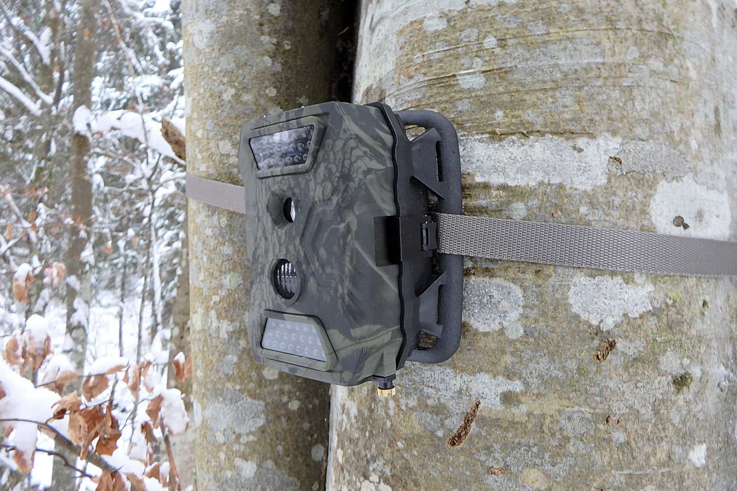 Die besten Wildtierkameras? (Test & Vergleich 2026)